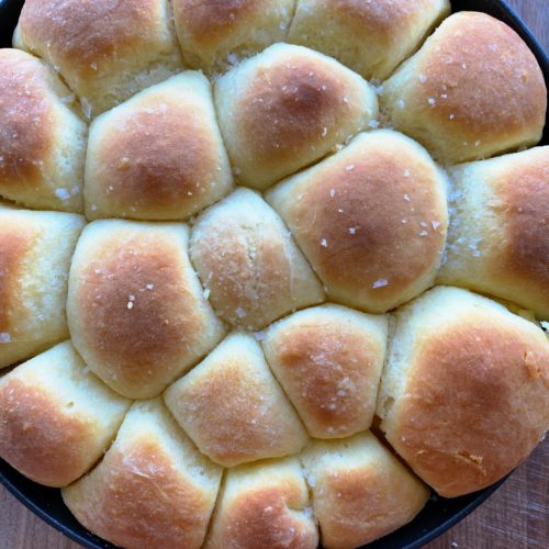 Rapid Dinner Rolls (20 Minute Rise) • Hip Foodie Mom