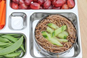 Easy Soba Noodles for Lunch, Featuring my Rover PlanetBox • Hip Foodie Mom